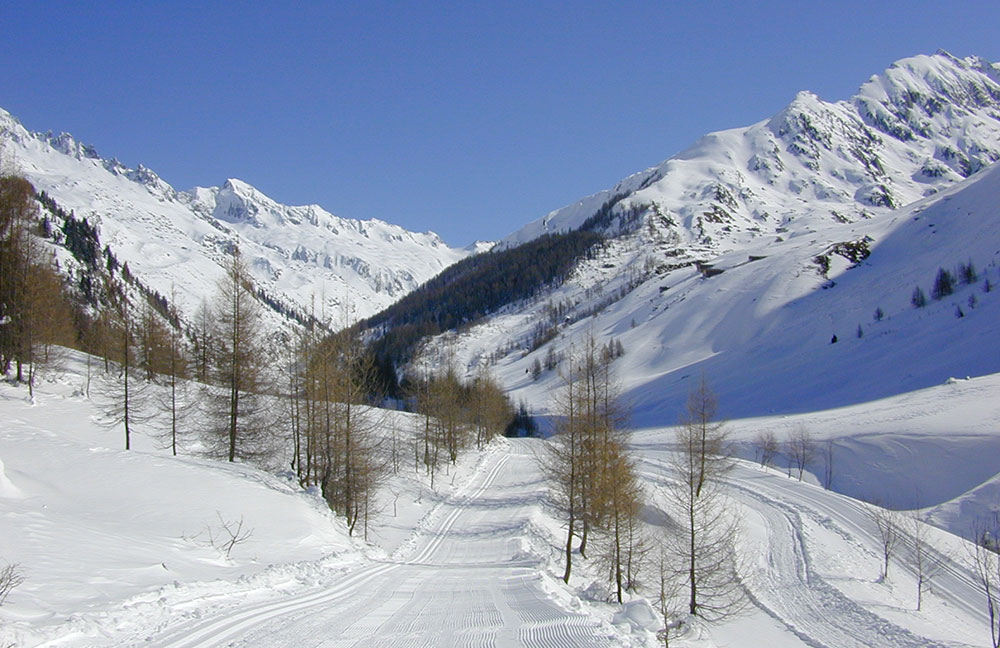 Langlaufen in Kasern - Berghotel Kason in Kasern Ahrntal Pustertal Südtirol